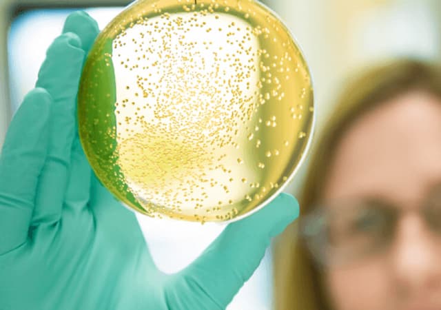 Gilead Sciences | The Together Campaign